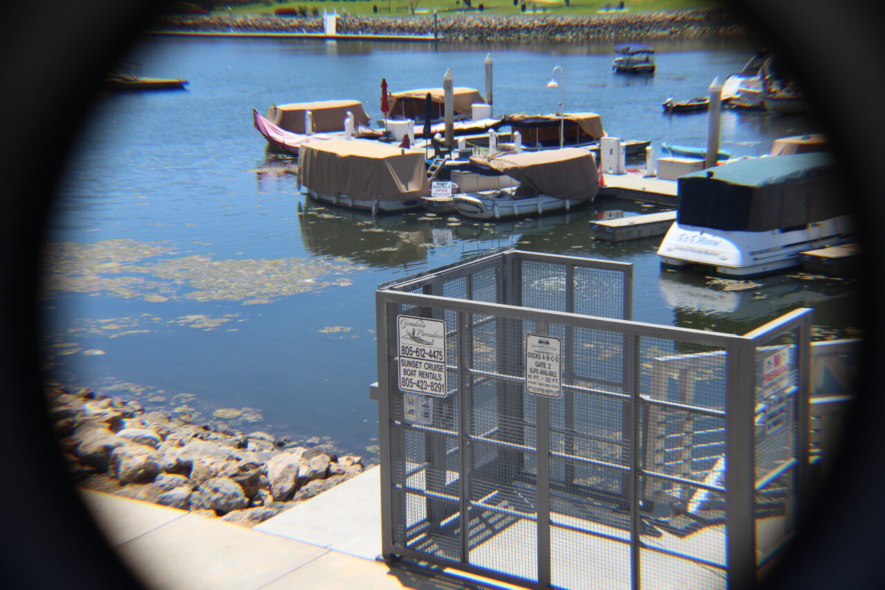 June 2025 Harbor Water Quality Update | Channel Islands Neighborhood ...